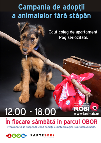 Targ de adoptii | EcoMagazin.ro