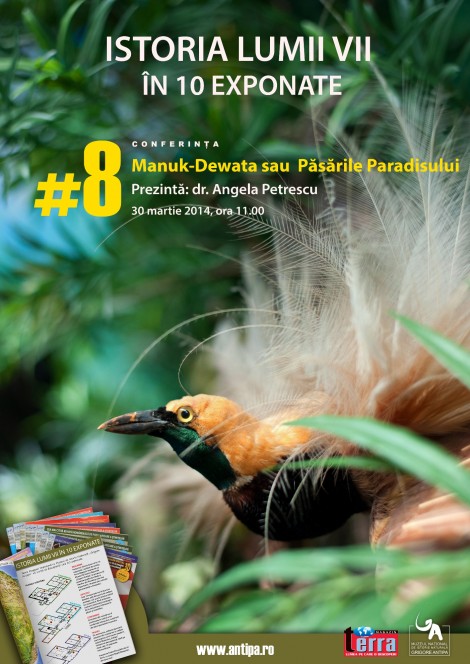 Manuk-dewata sau Pasarile paradisului, la Muzeul „Antipa” | EcoMagazin.ro