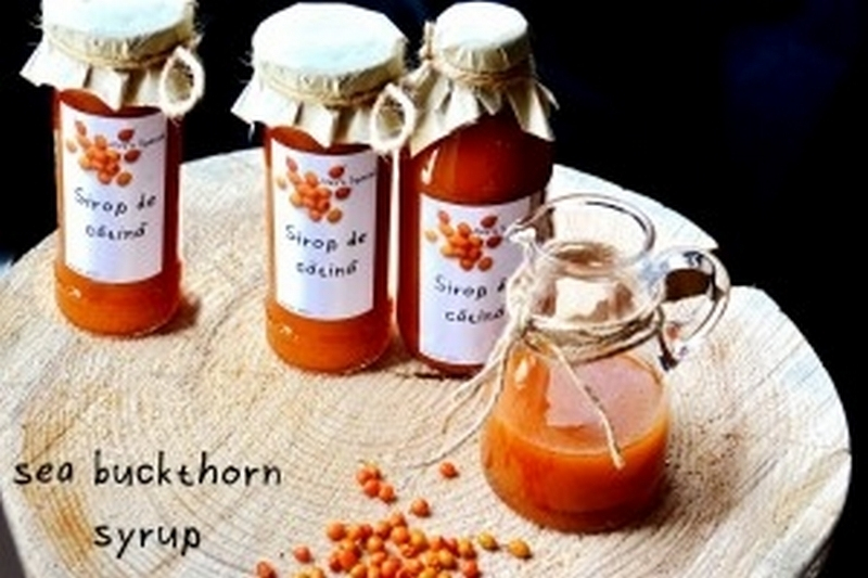 Catina, planta romaneasca unica in lume cu beneficii uimitoare ...