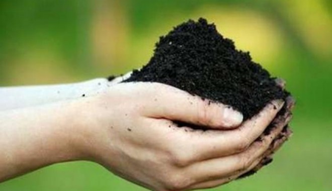 Cum sa evaluezi calitatea solului din gradina | EcoMagazin.ro