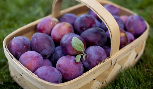 Prunele – beneficii uimitoare pentru organism | EcoMagazin.ro