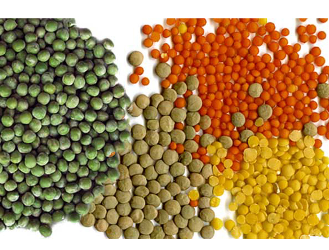 Leacuri din gradina: Lintea | EcoMagazin.ro