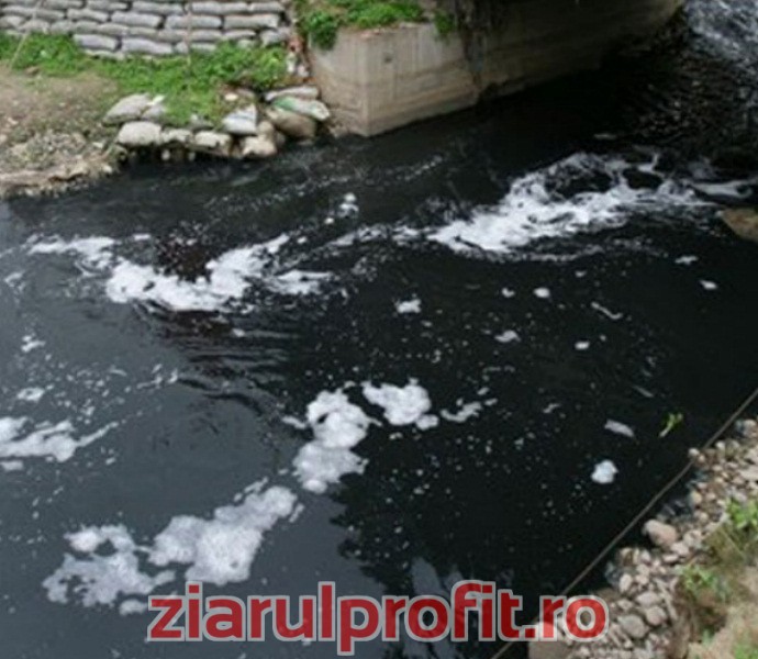 Poluare cu titei pe un rau din Arges | EcoMagazin.ro