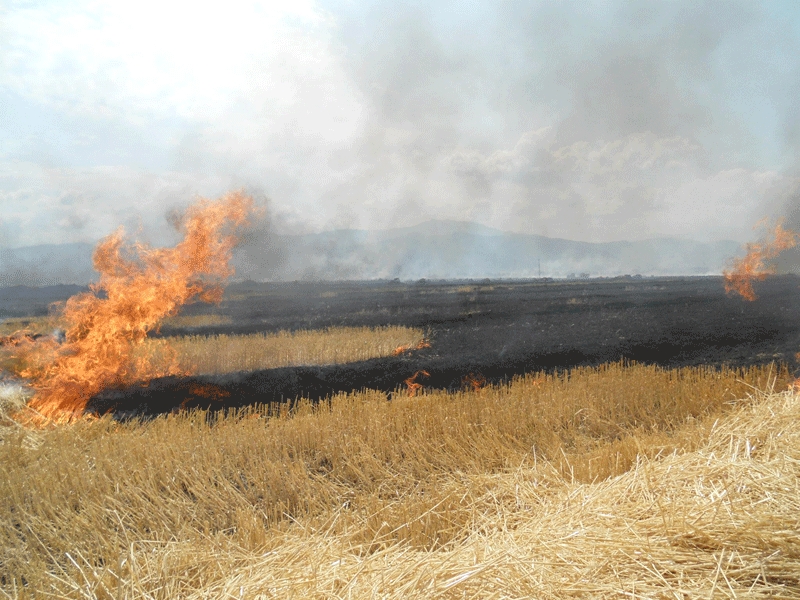 Solul judetului Olt, mai sarac cu 40 la suta in materie organica si ...