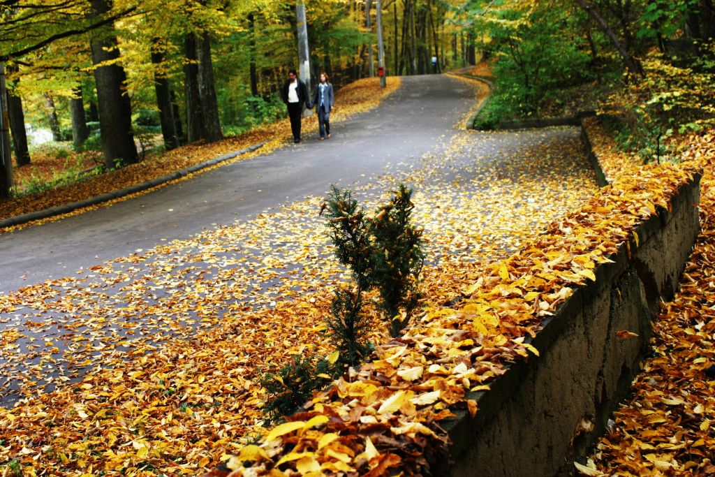 DNA Pitesti a cerut Agentiei de Mediu acte in dosarul Parcului Trivale ...