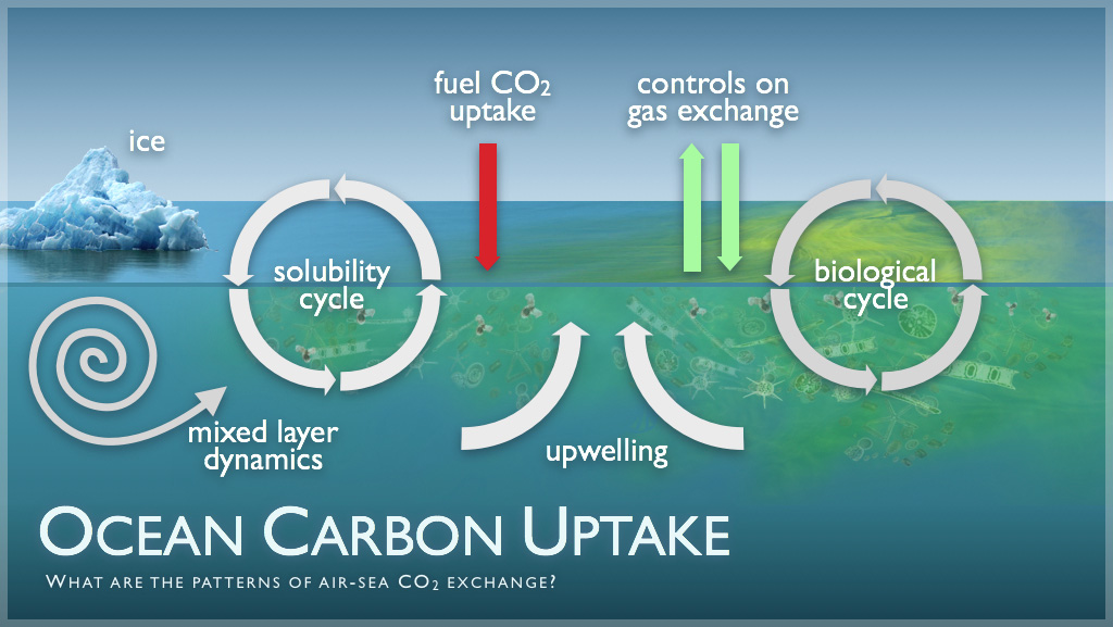 Captarea CO2 este ineficienta impotriva acidifierii oceanelor ...